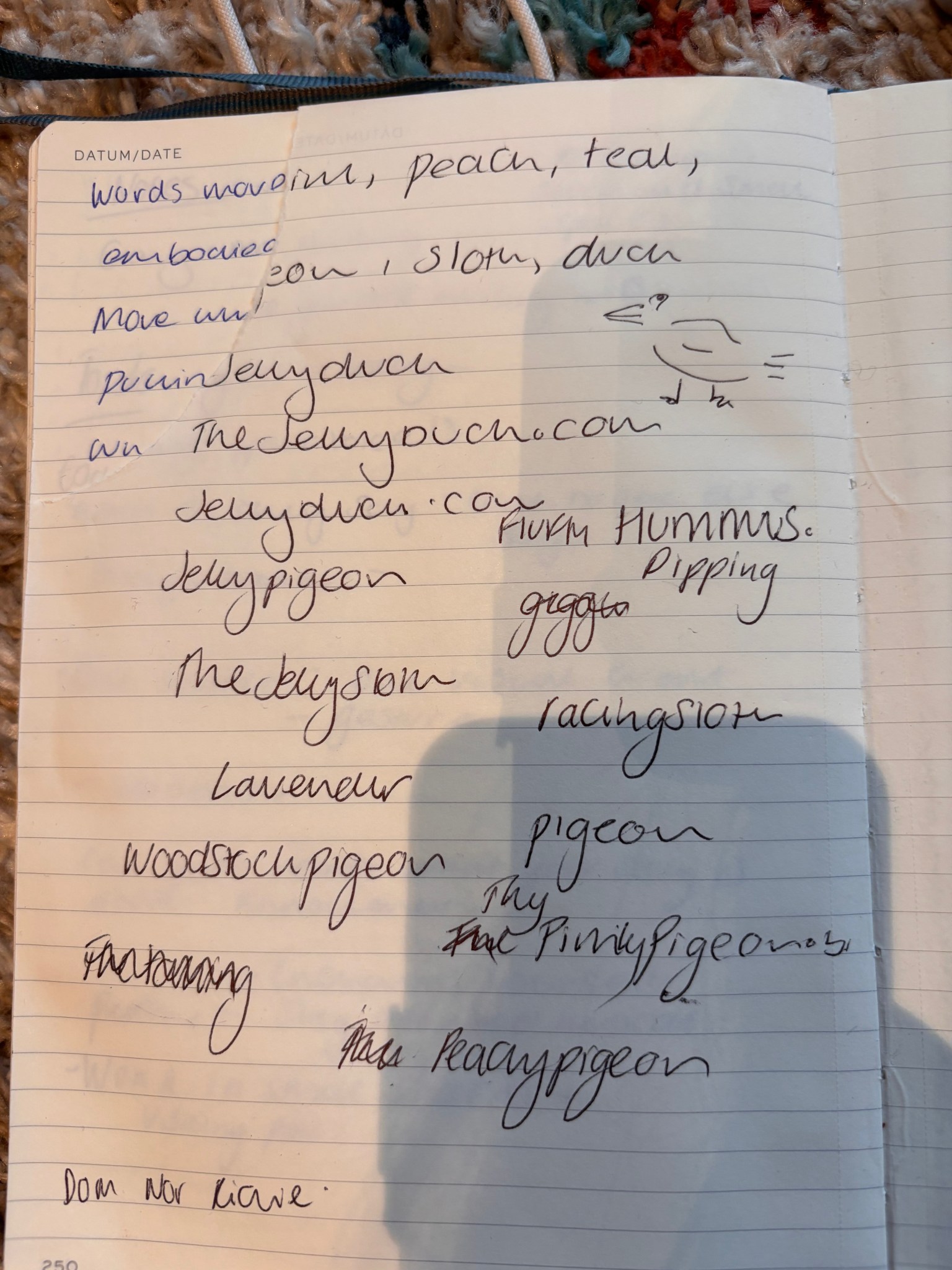 THE STORY OF WRITING A NOVEL PART 3: THE CRINGE ERA. – THE QUACK
